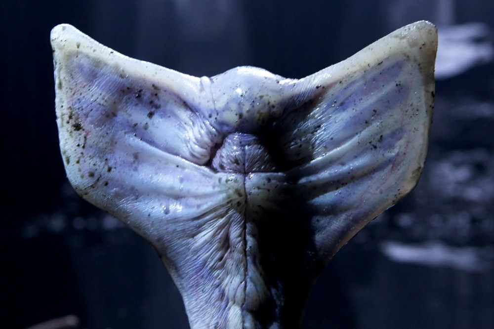 Before StarBeast — Prometheus – Monster Legacy