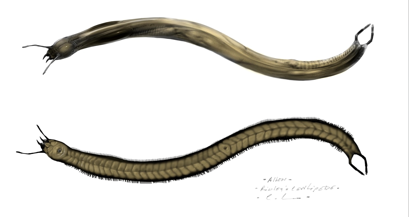 Alien Centipede – Monster Legacy