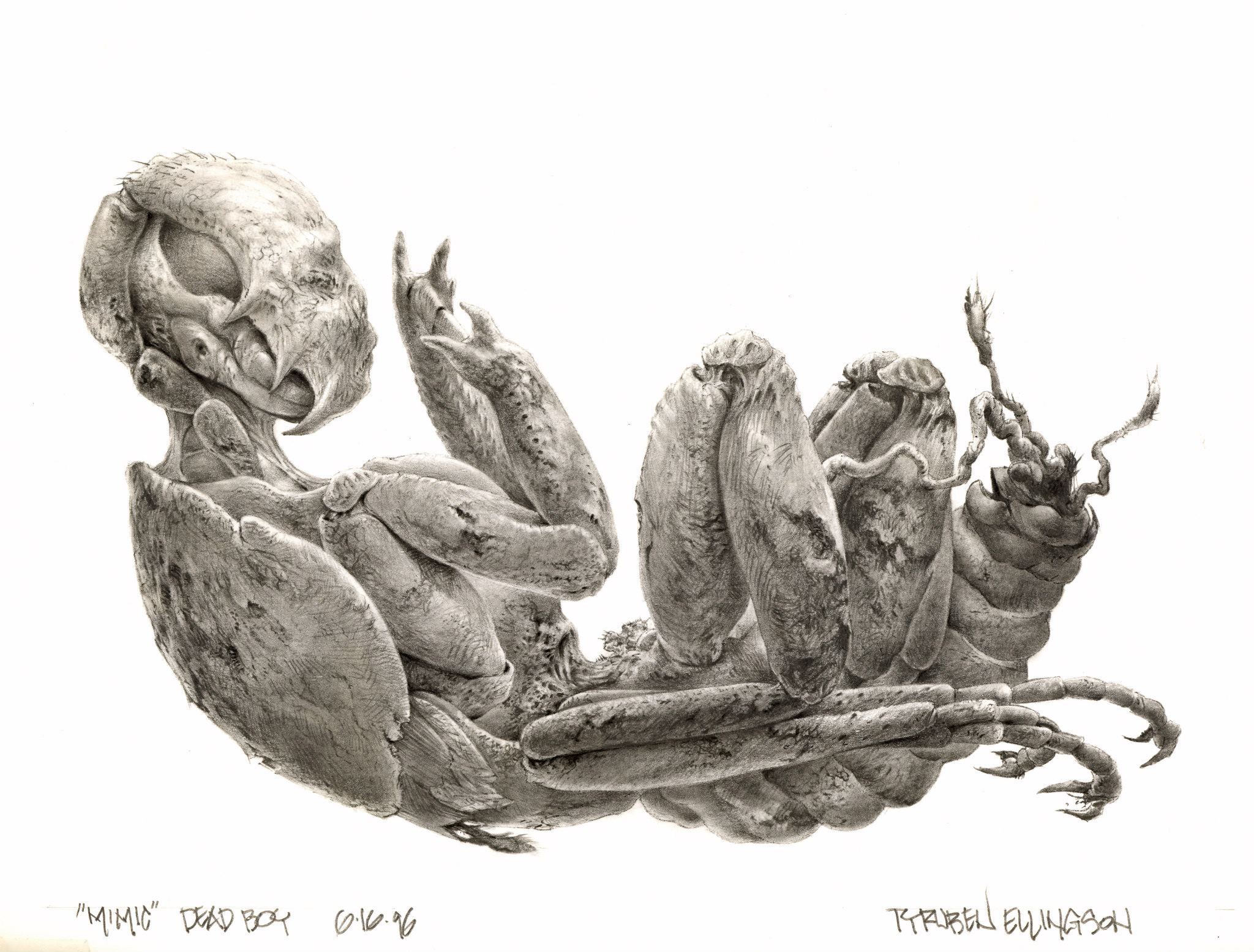 Mimicdeadboyconcept – Monster Legacy