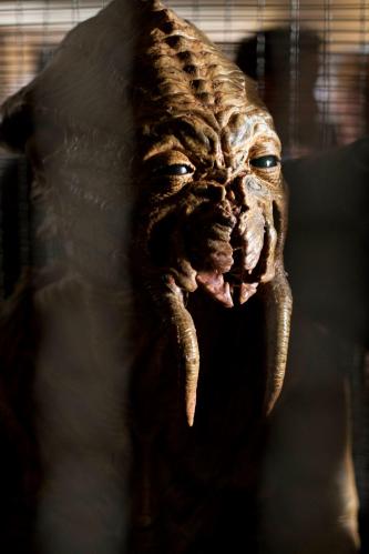 Skitters – Monster Legacy