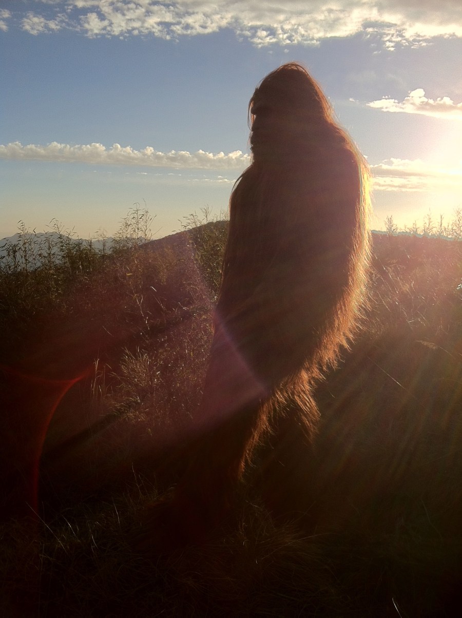 Exclusive: Interview with Douglas Tait! – Monster Legacy