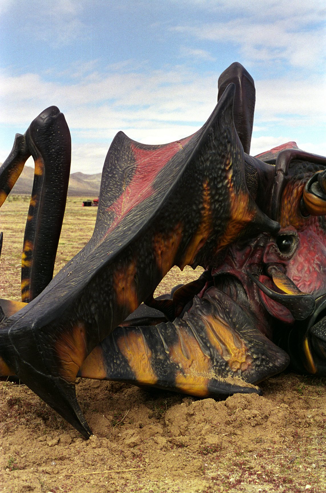 Warriorbugclose – Monster Legacy