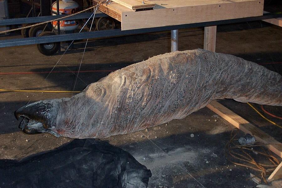 Subterranean Terror — Tremors 4: The Legend Begins – Monster Legacy