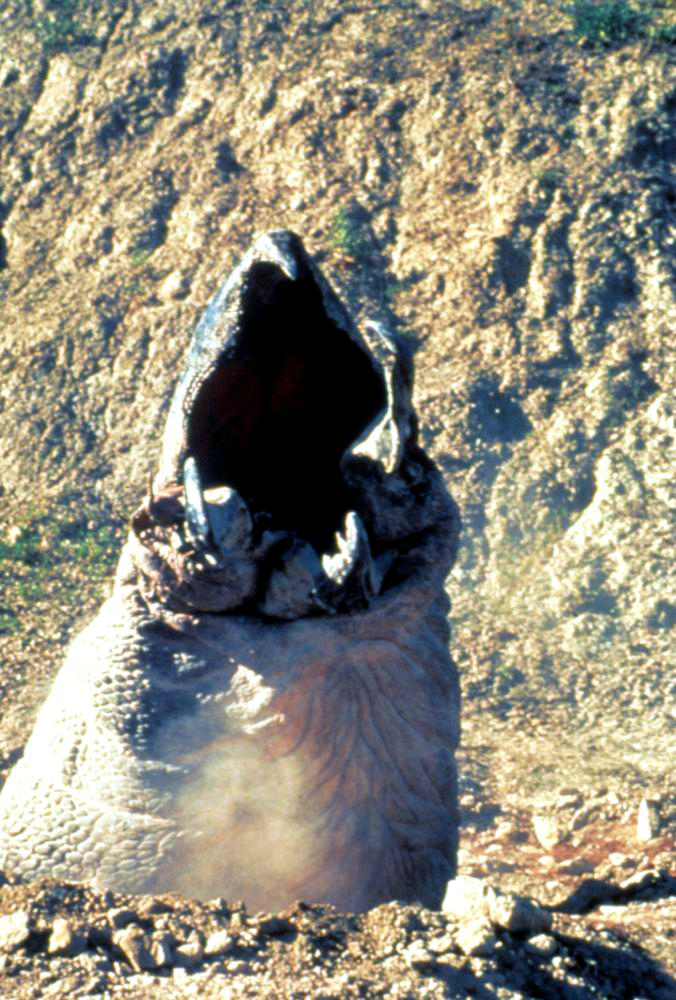 Subterranean Terror — Tremors 2: Aftershocks – Monster Legacy