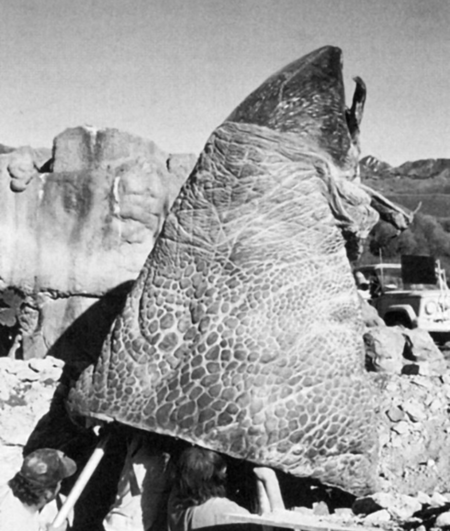 Subterranean Terror — Tremors 2: Aftershocks – Monster Legacy