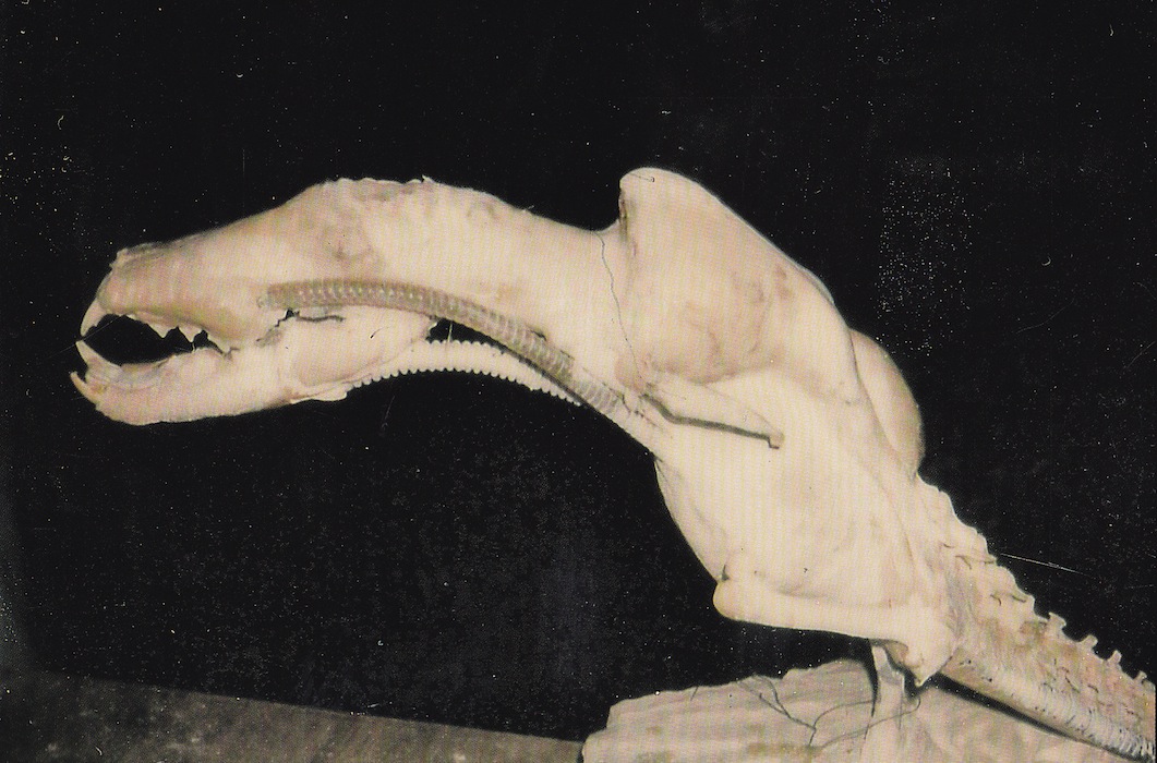 StarBeast — Alien, the Chestburster – Monster Legacy