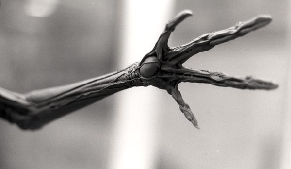 Alien3rodpuppethandsculpt – Monster Legacy