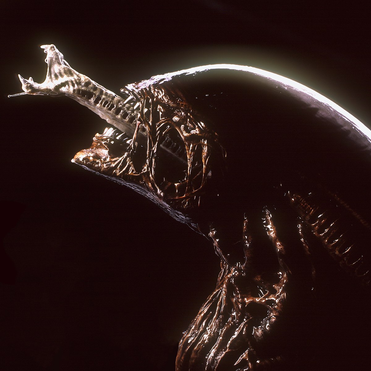 alienrestestopenwhoa – Monster Legacy