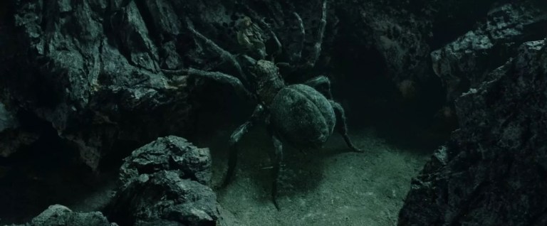 Shelob – Monster Legacy