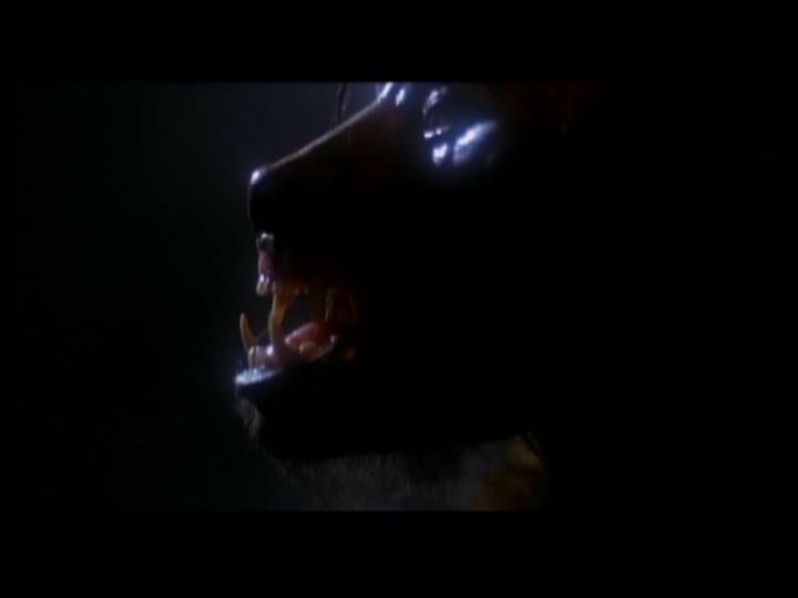 Monster Gallery: The Howling (1981) – Monster Legacy