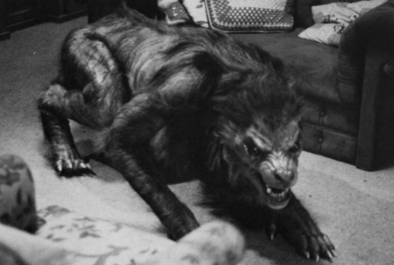 Four-Legged Hound from Hell – Monster Legacy