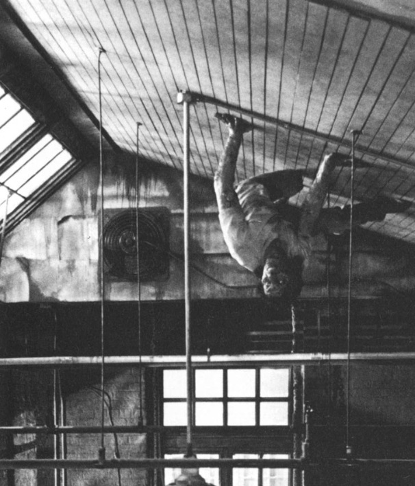 Brundlefly – Monster Legacy