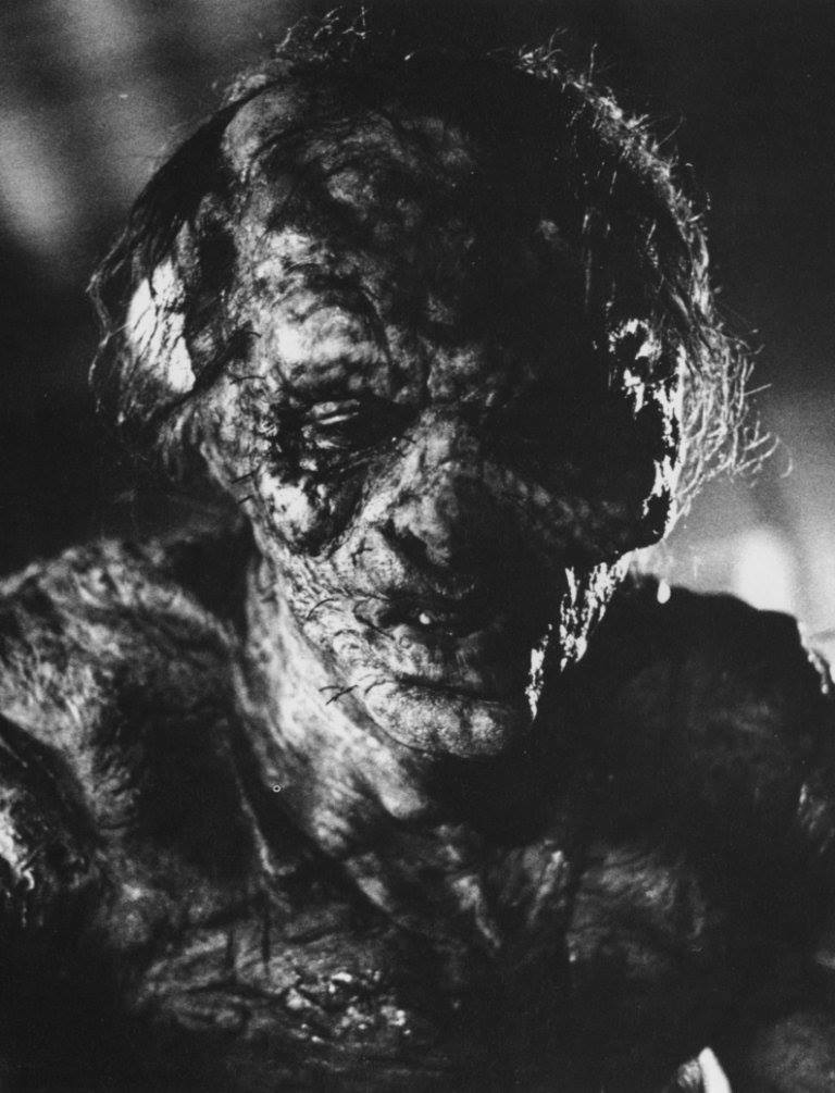 Brundlefly – Monster Legacy