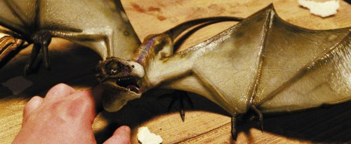 Norwegian Ridgeback – Monster Legacy