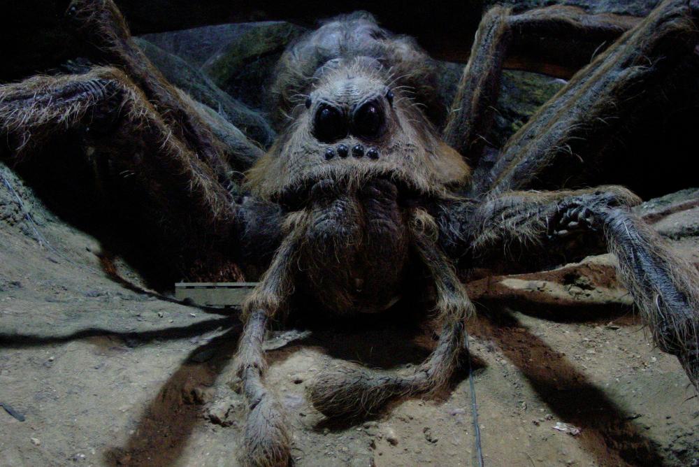 Aragog – Monster Legacy