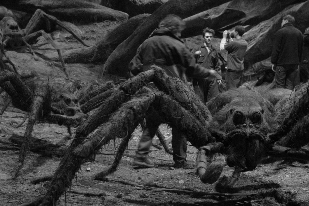 Aragog – Monster Legacy