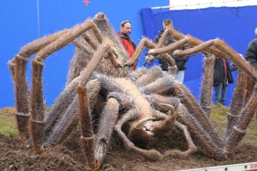 Aragog – Monster Legacy