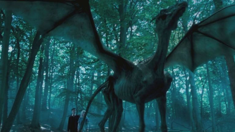 Thestrals – Monster Legacy