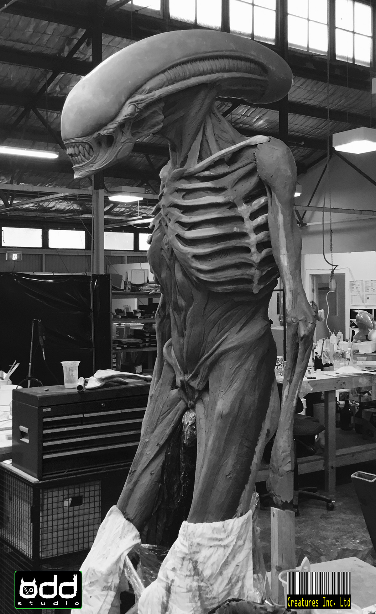 Aliencovsculp – Monster Legacy