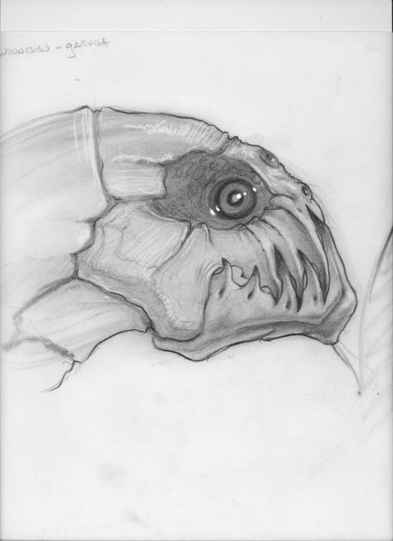 Clover – Monster Legacy