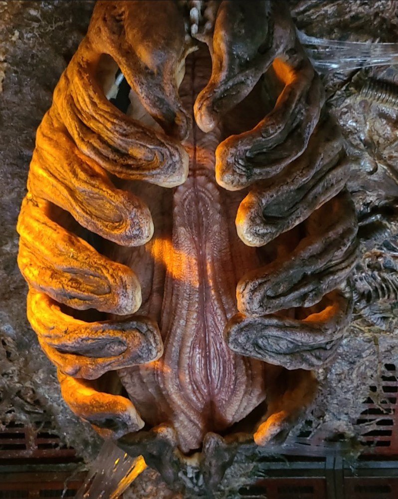 Alienromucocoonclose – Monster Legacy